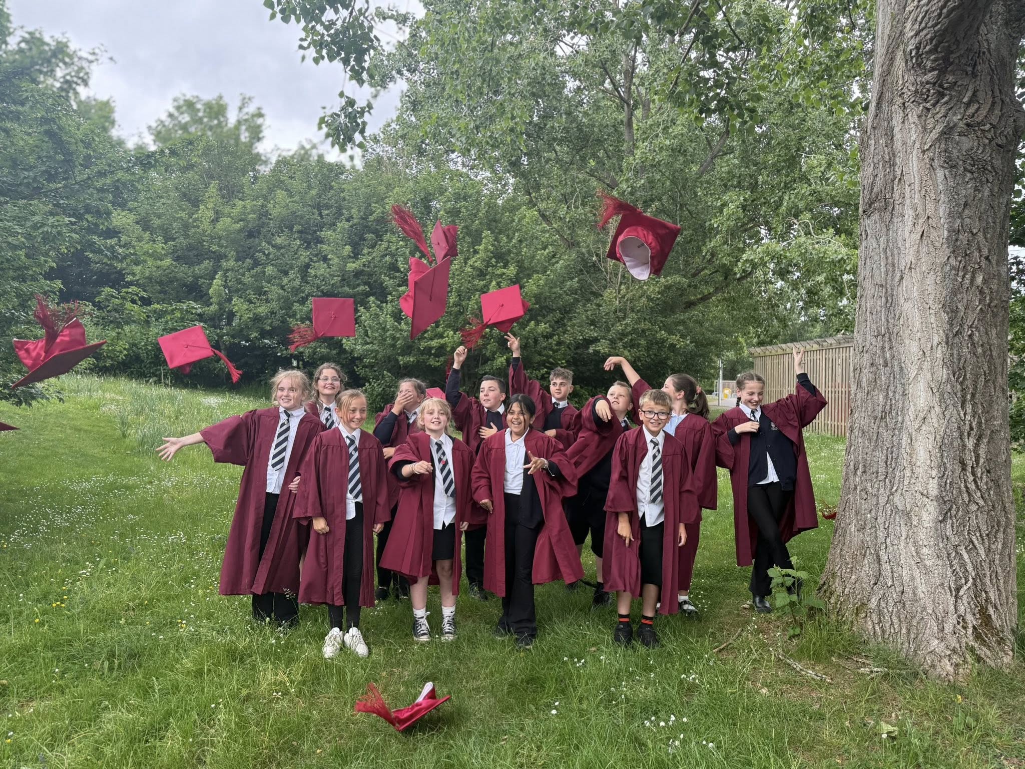 The Scholars Programme (online) | Experiences | Neon - Brilliant inspiration